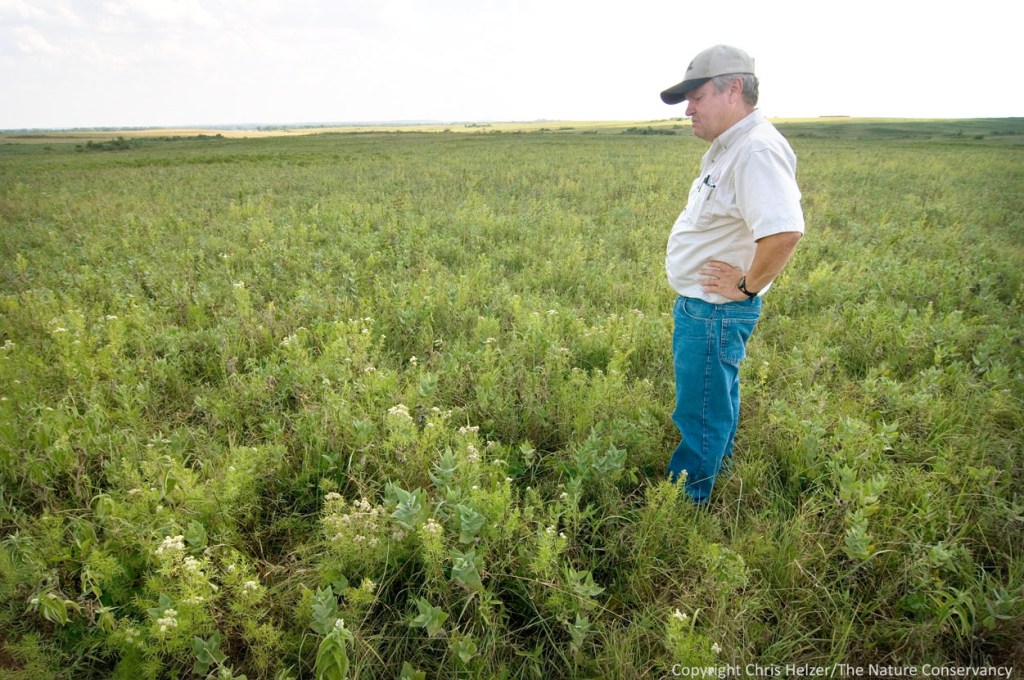 Patch-Burn Grazing in Missouri Prairies | The Prairie Ecologist