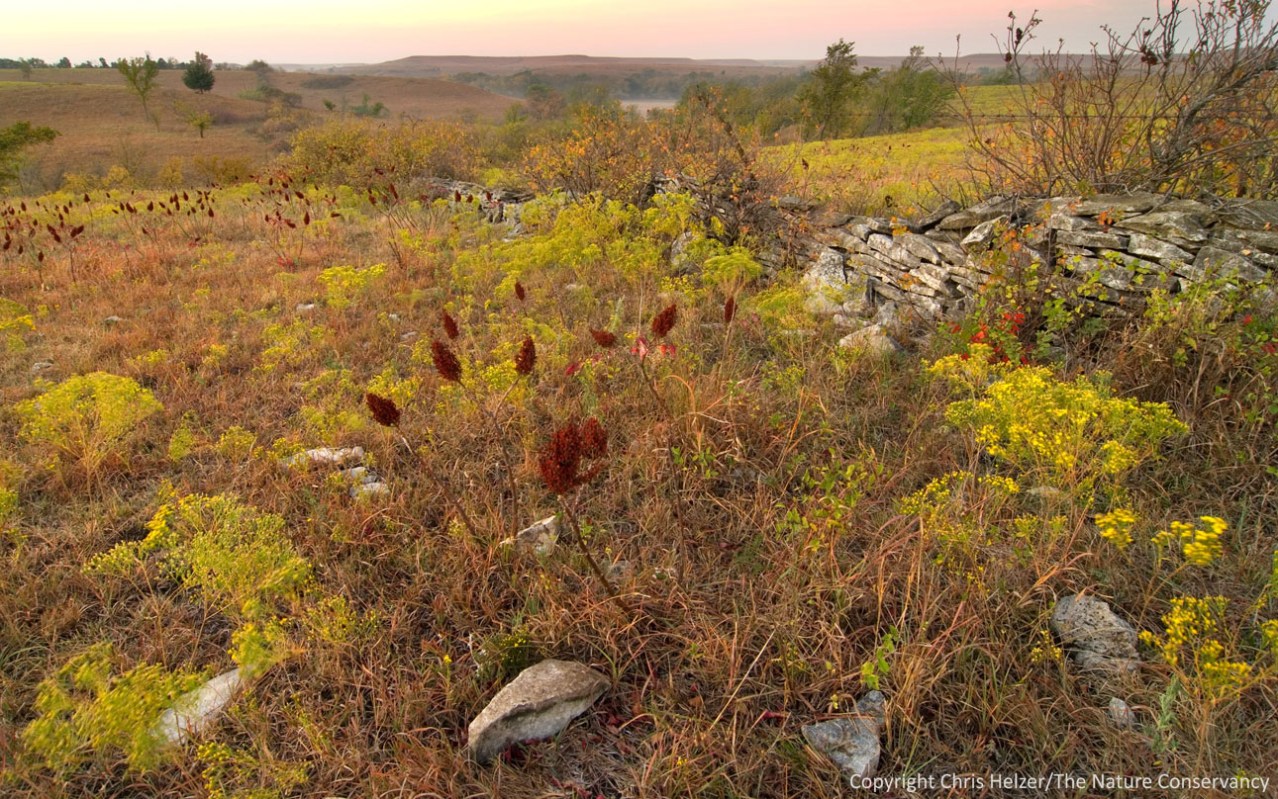 Photo of the Week – September 23, 2011 | The Prairie Ecologist