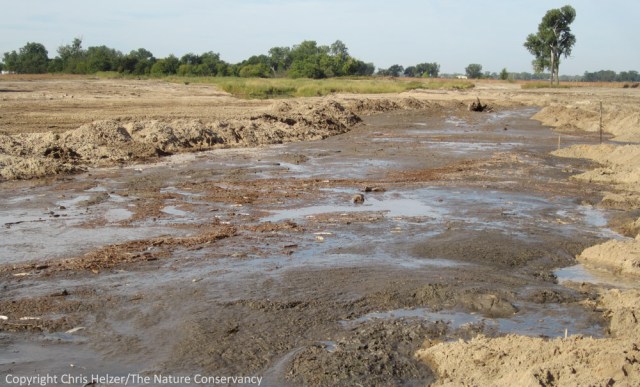 What Do I Do With This Sludge? A Wetland Restoration Report and Plea ...