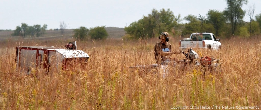 The Right Metaphor for Prairie Restoration | The Prairie Ecologist
