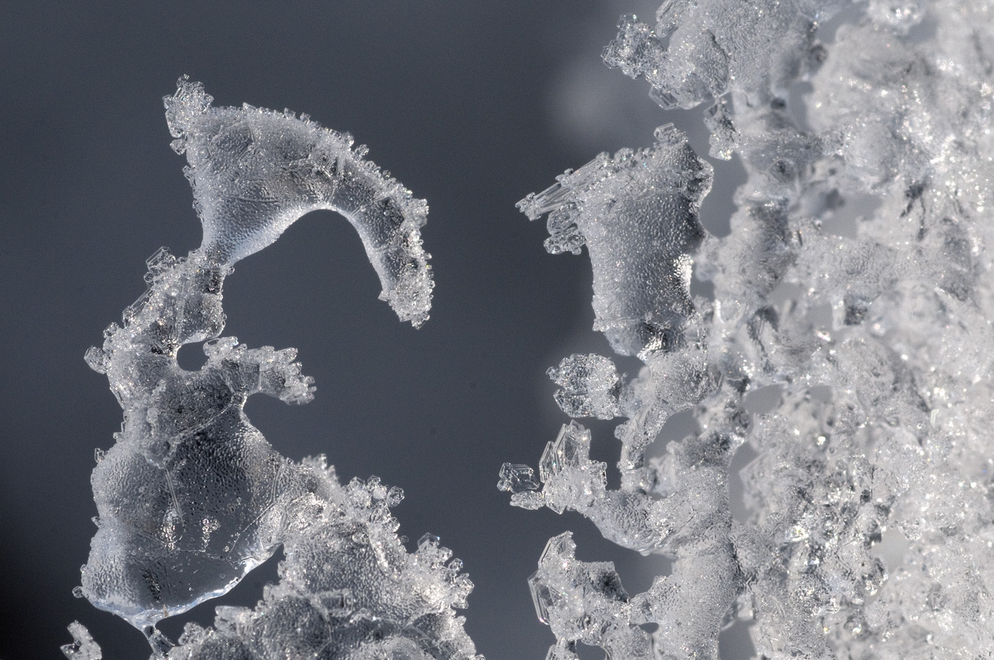 Best of Prairie Ecologist Photos – 2013 | The Prairie Ecologist