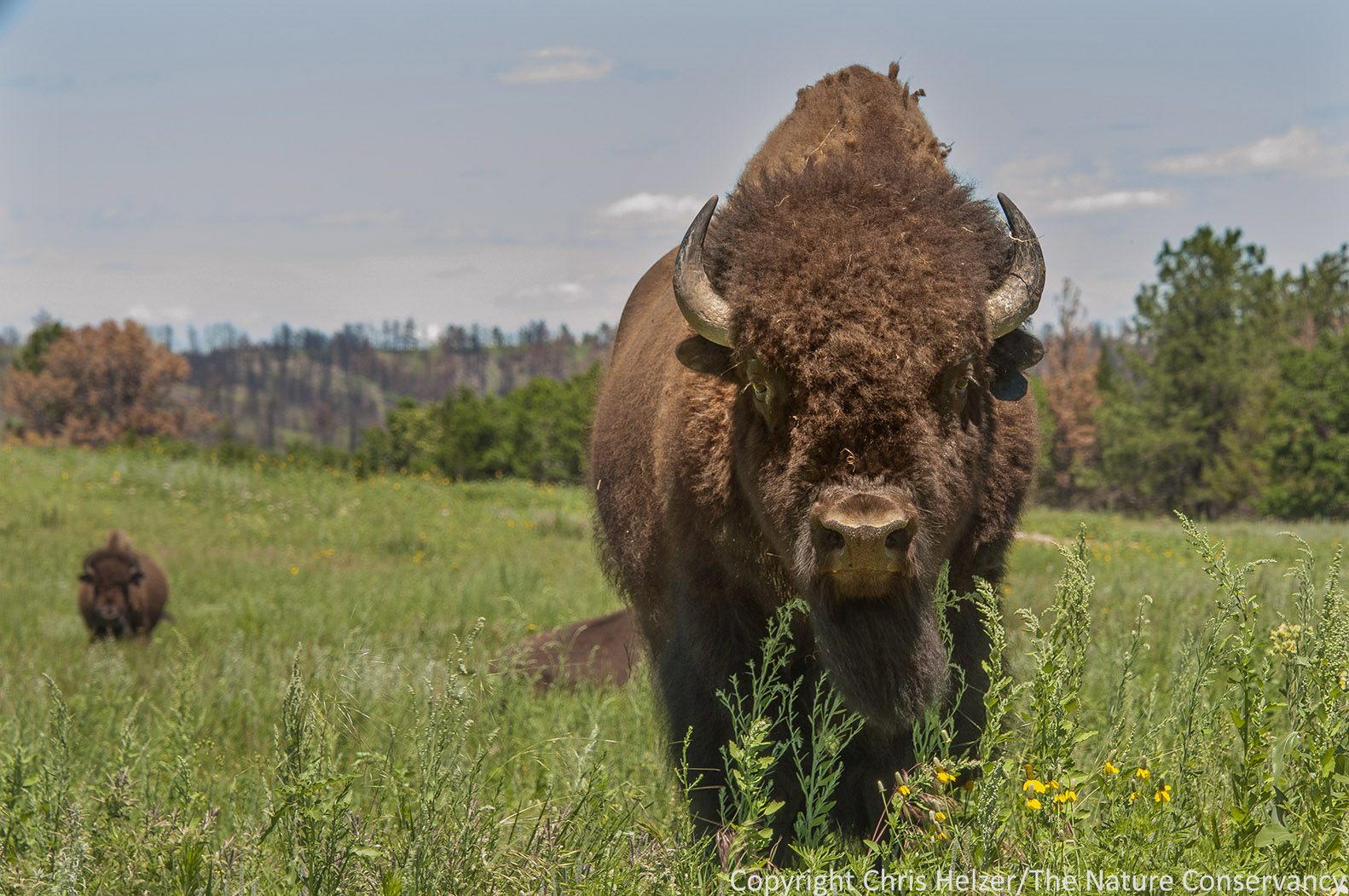 Best of Prairie Ecologist Photos – 2013 | The Prairie Ecologist