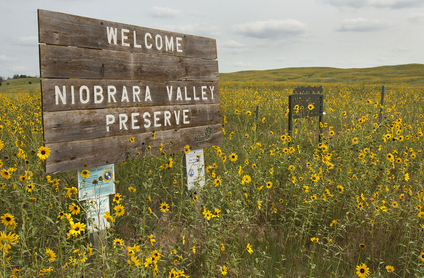 Best of Prairie Ecologist Photos – 2013 | The Prairie Ecologist