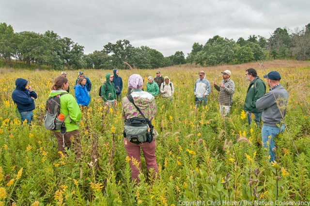 So Similar, Yet So Different | The Prairie Ecologist