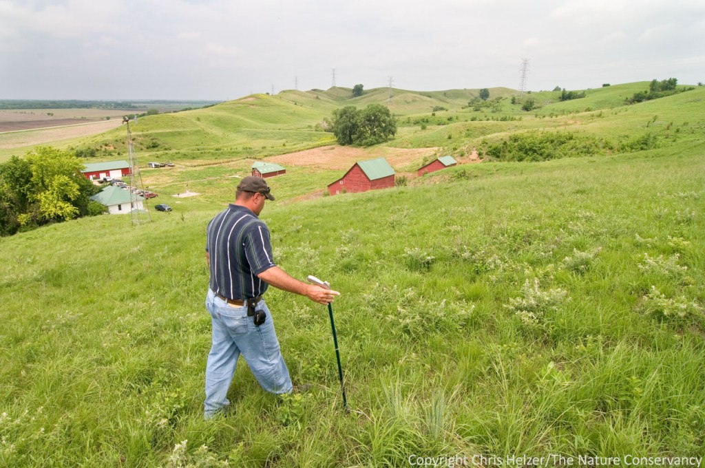What I Look For When I Walk Through My Prairies | The Prairie Ecologist