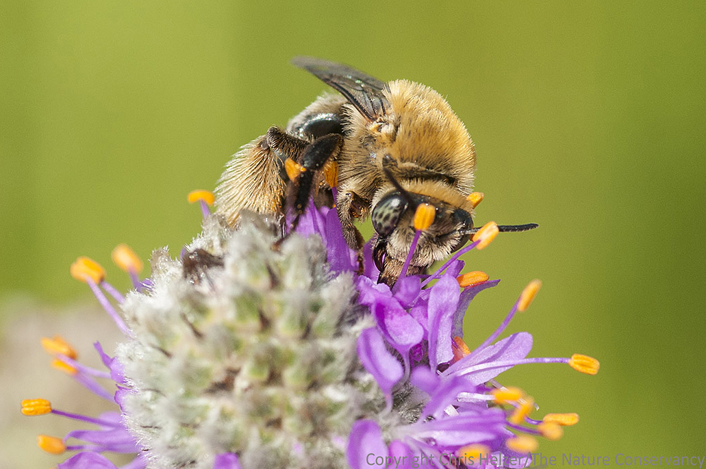 Favorite Photos From 2014 | The Prairie Ecologist