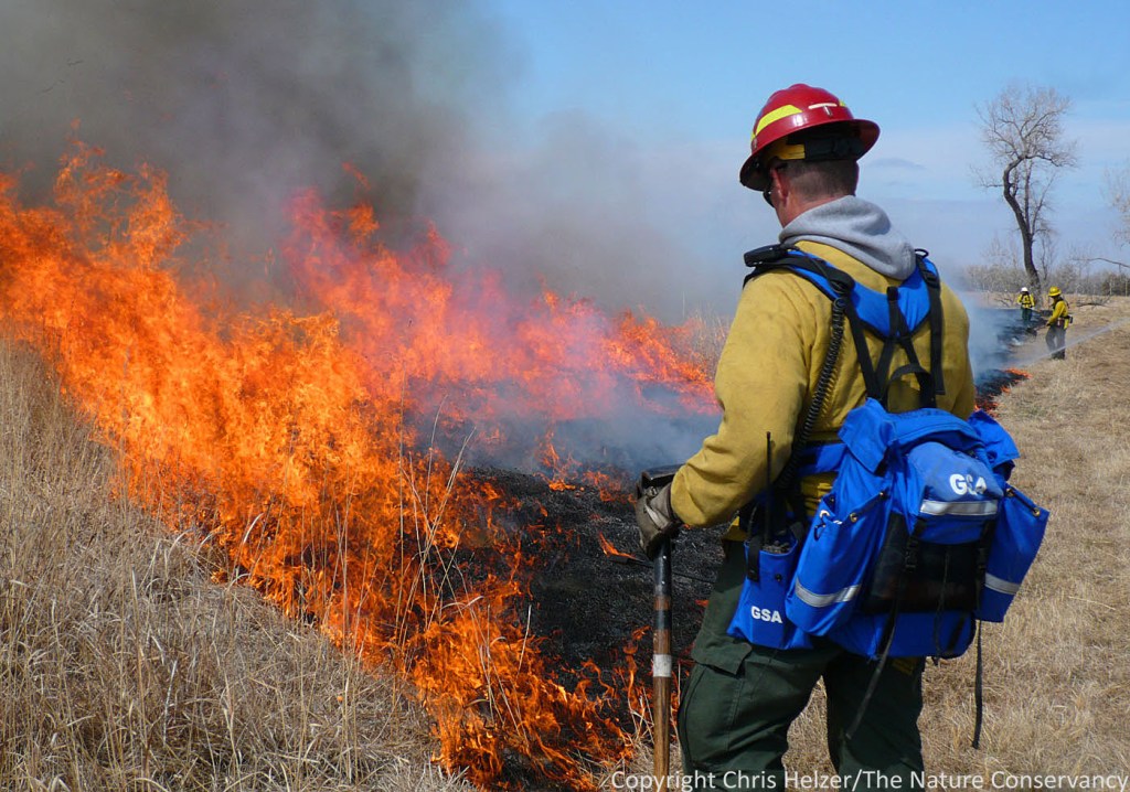 What’s the Best Time to Burn? | The Prairie Ecologist