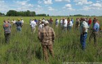 Grassland Restoration Network – Minnesota Style | The Prairie Ecologist