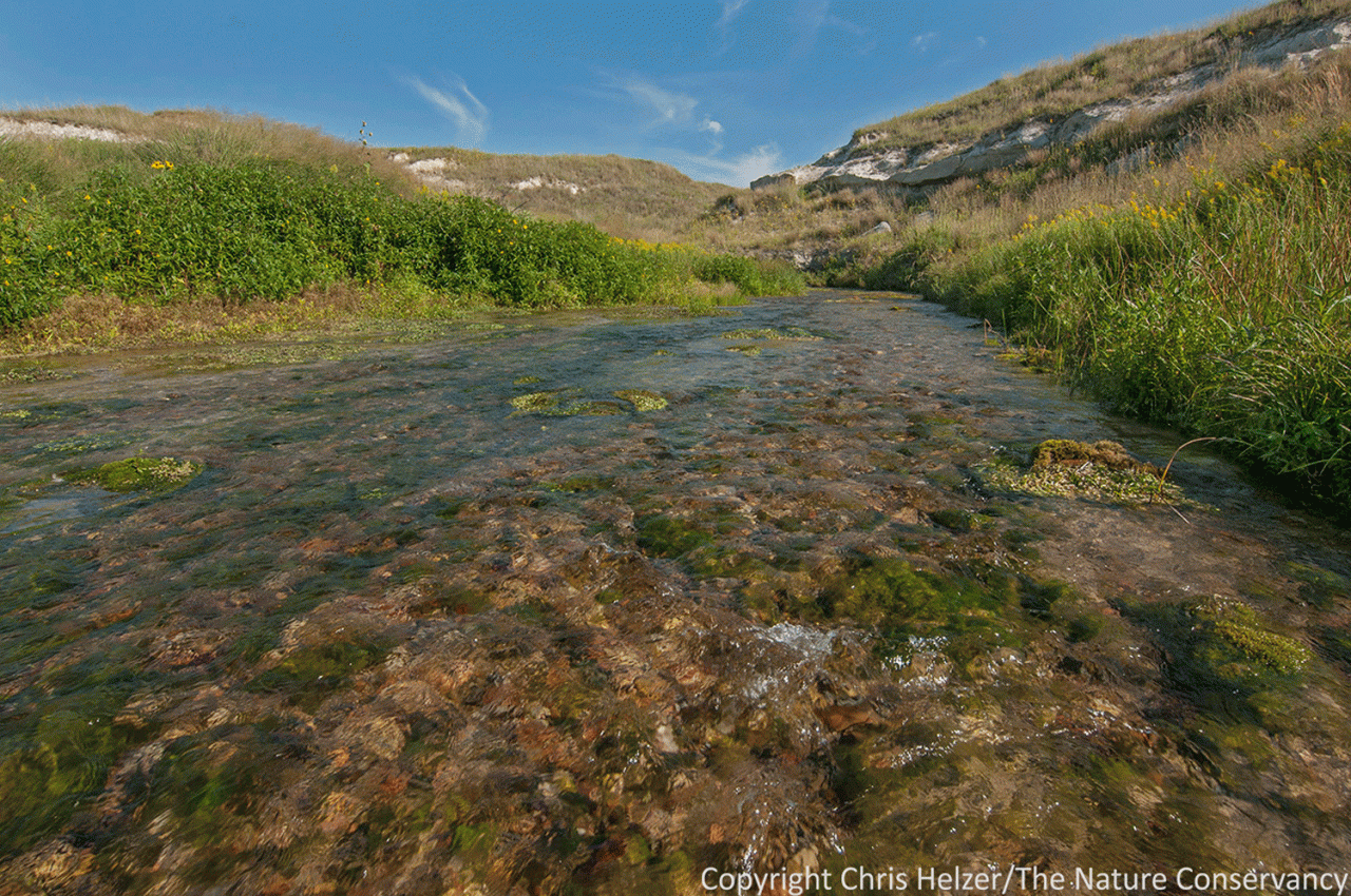 The Value of the Water in the Nebraska Sandhills | The Prairie Ecologist