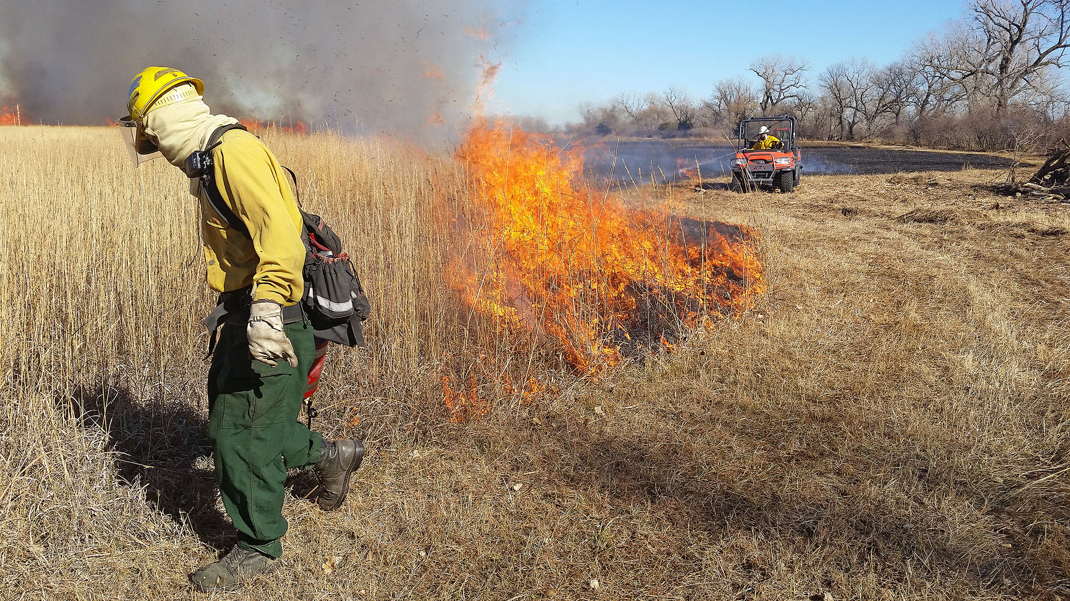 Best of 2016 – Stories and Photos From This Year | The Prairie Ecologist