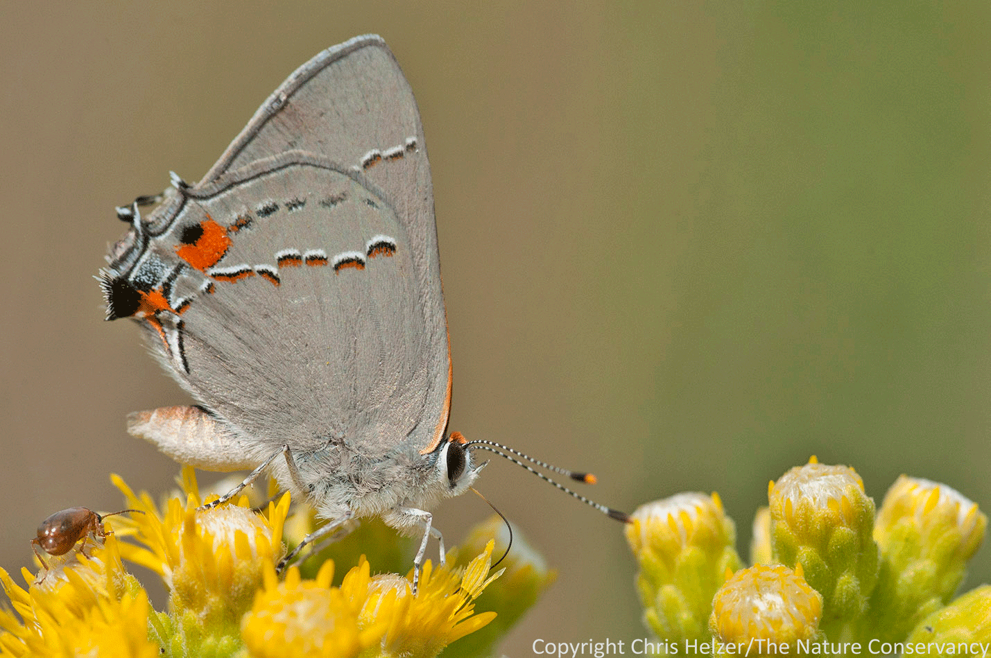 ENPO160828_D016 | The Prairie Ecologist