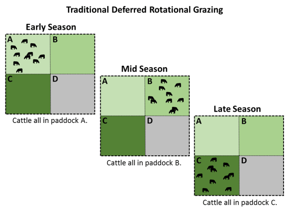 Open Gate Rotational Grazing | The Prairie Ecologist