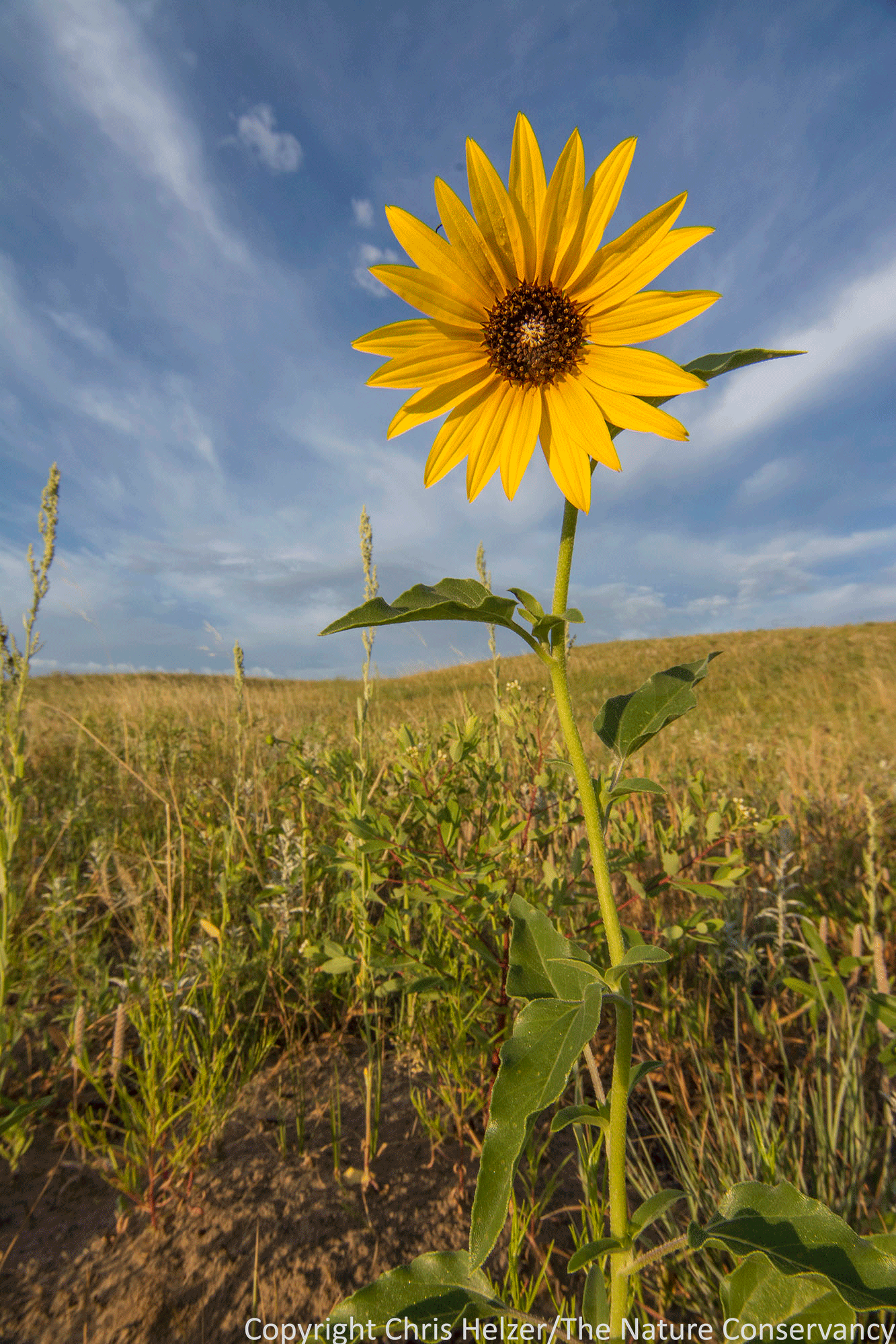 Catching Up on Summer Photos | The Prairie Ecologist