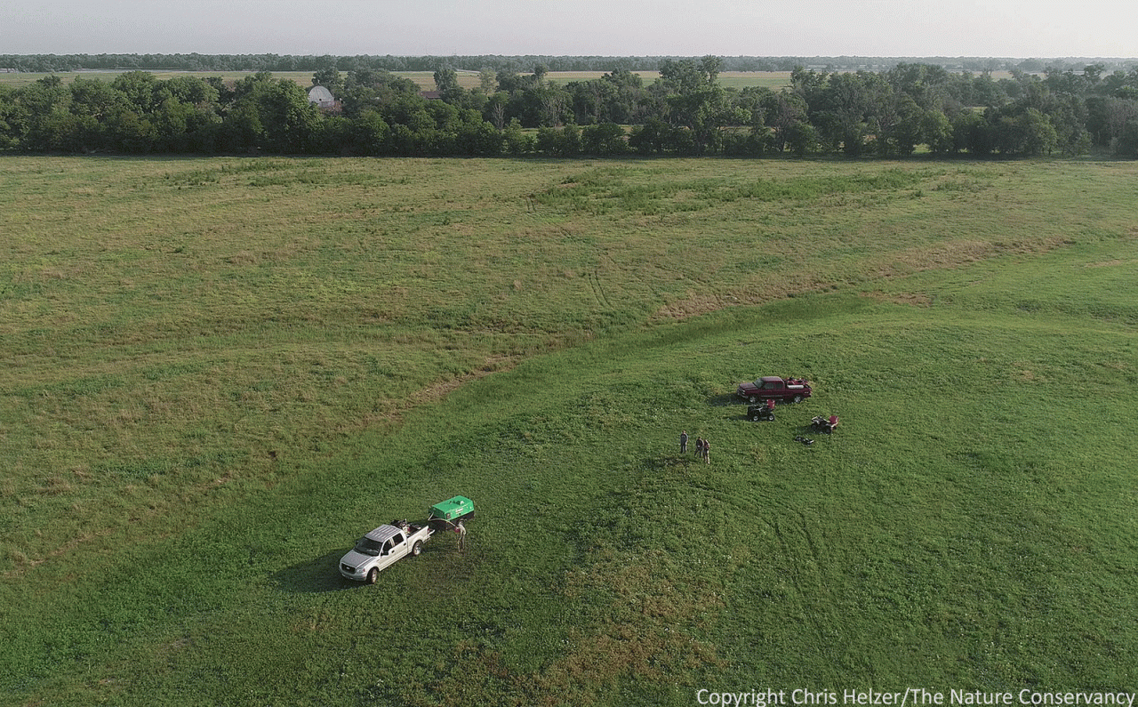 A Closer Look at Prairie Roots | The Prairie Ecologist
