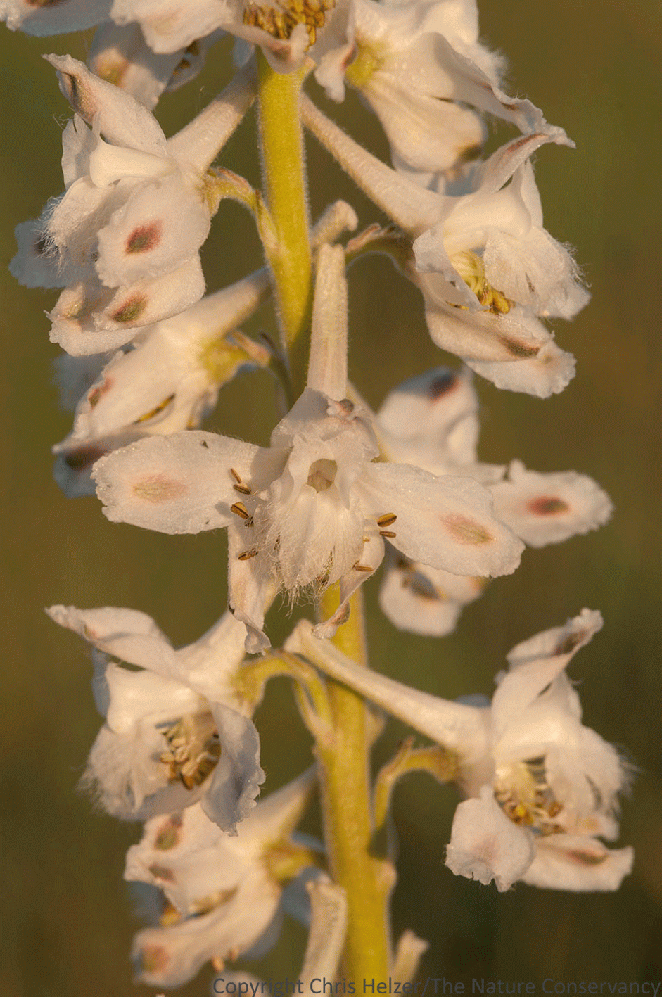 On the horizon | The Prairie Ecologist