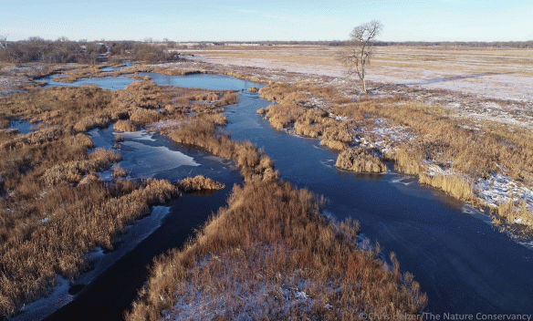 Prairie Restoration/Reconstruction | The Prairie Ecologist