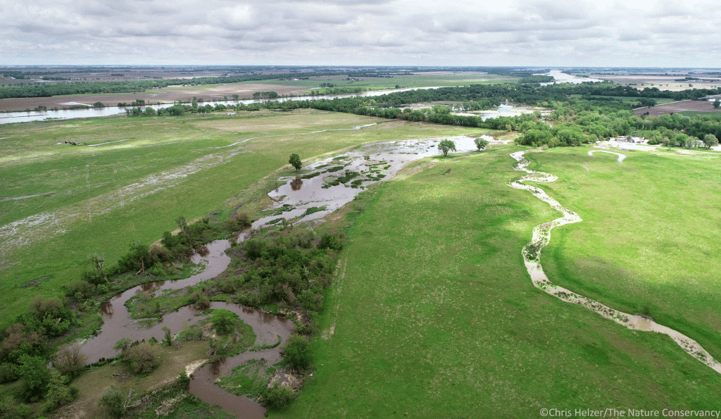 Underwater Prairie | The Prairie Ecologist