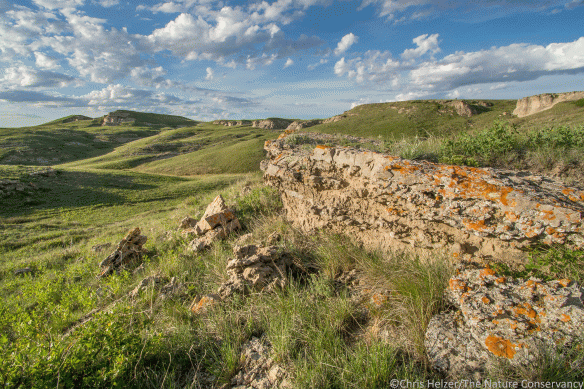 Prairie Photography | The Prairie Ecologist