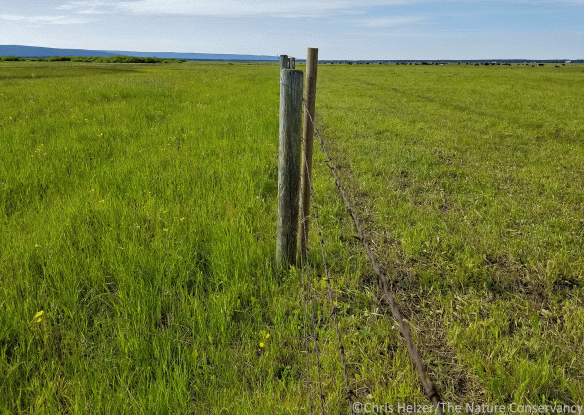High Elevation Prairie Management – The Nature Conservancy’s Flat Ranch ...
