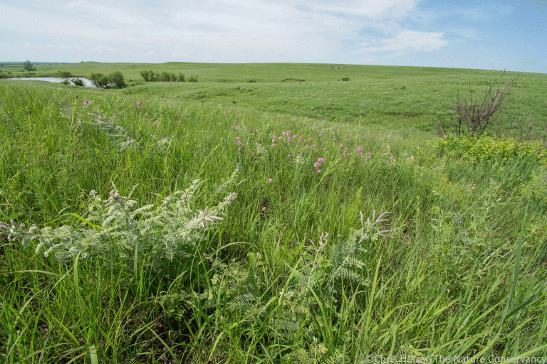 Photos of the Week – September 13, 2019 | The Prairie Ecologist