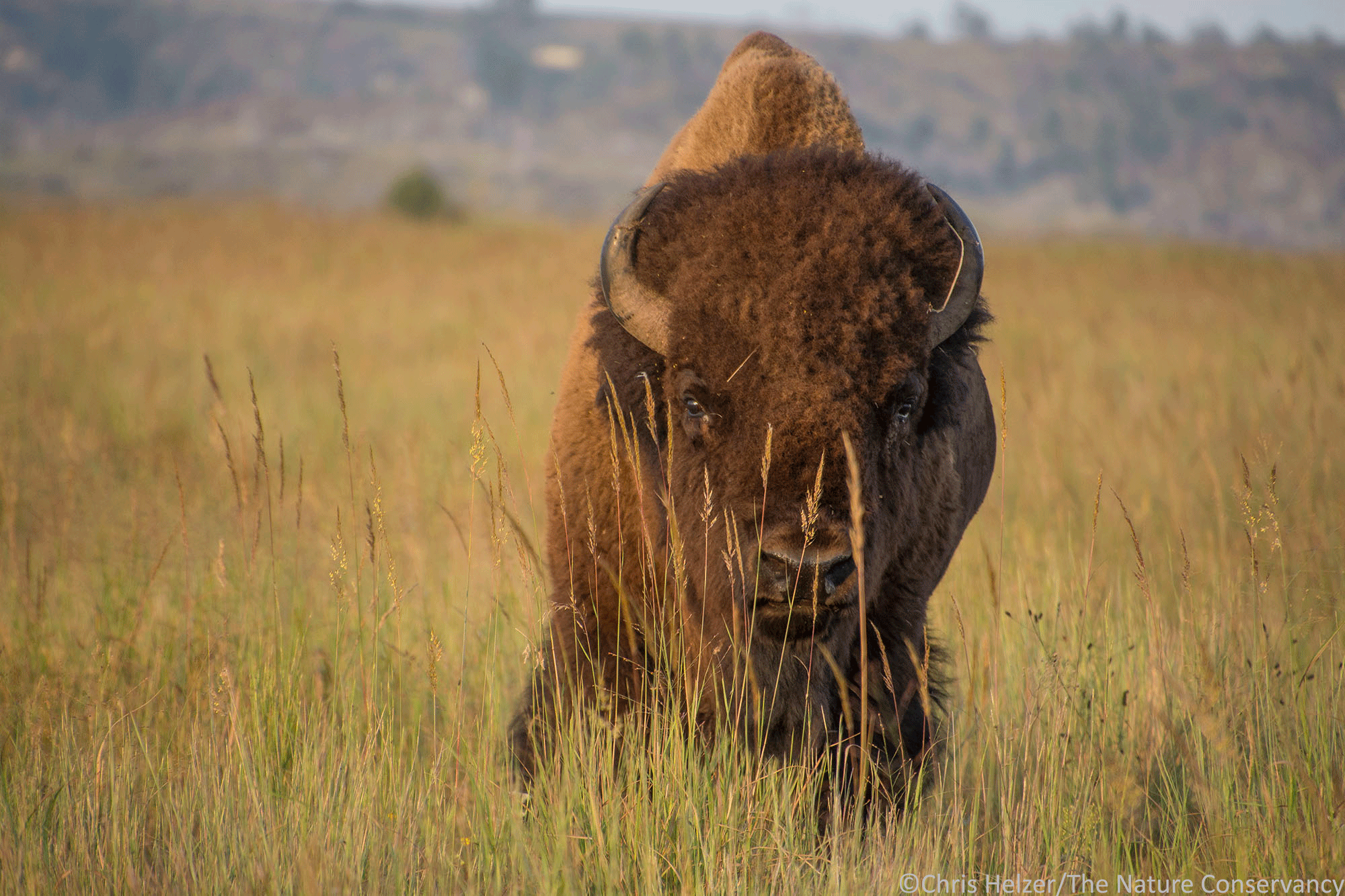 188 | The Prairie Ecologist