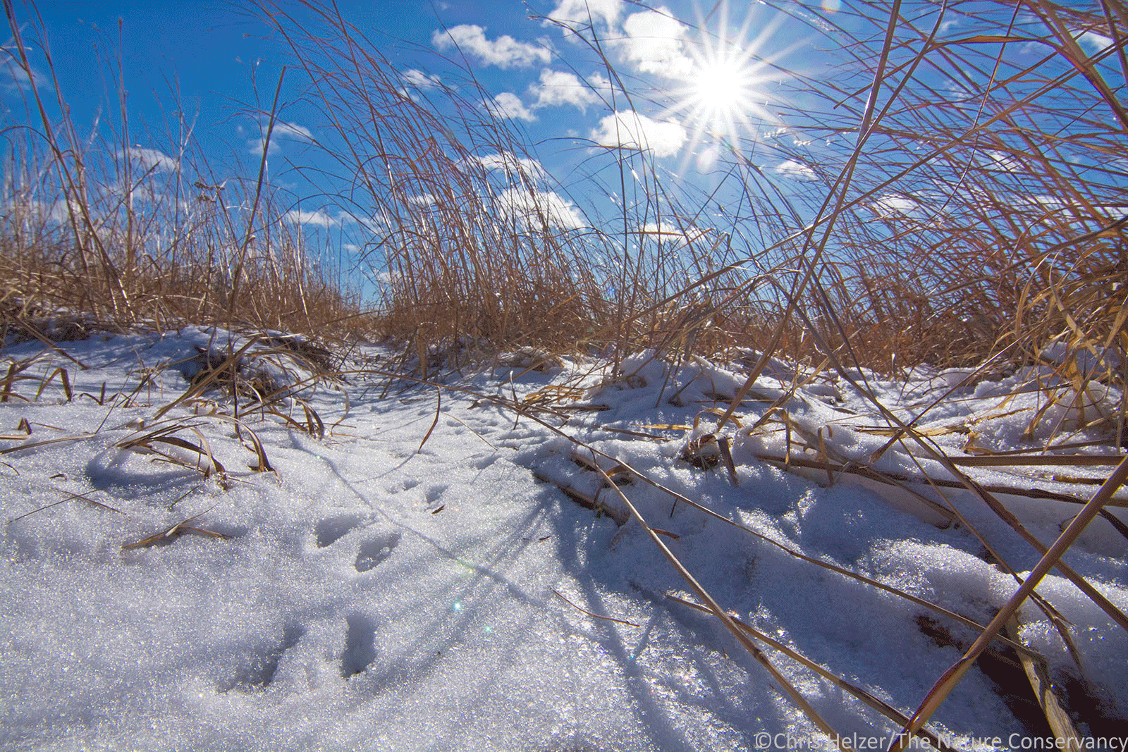 It sure is WINDY | The Prairie Ecologist