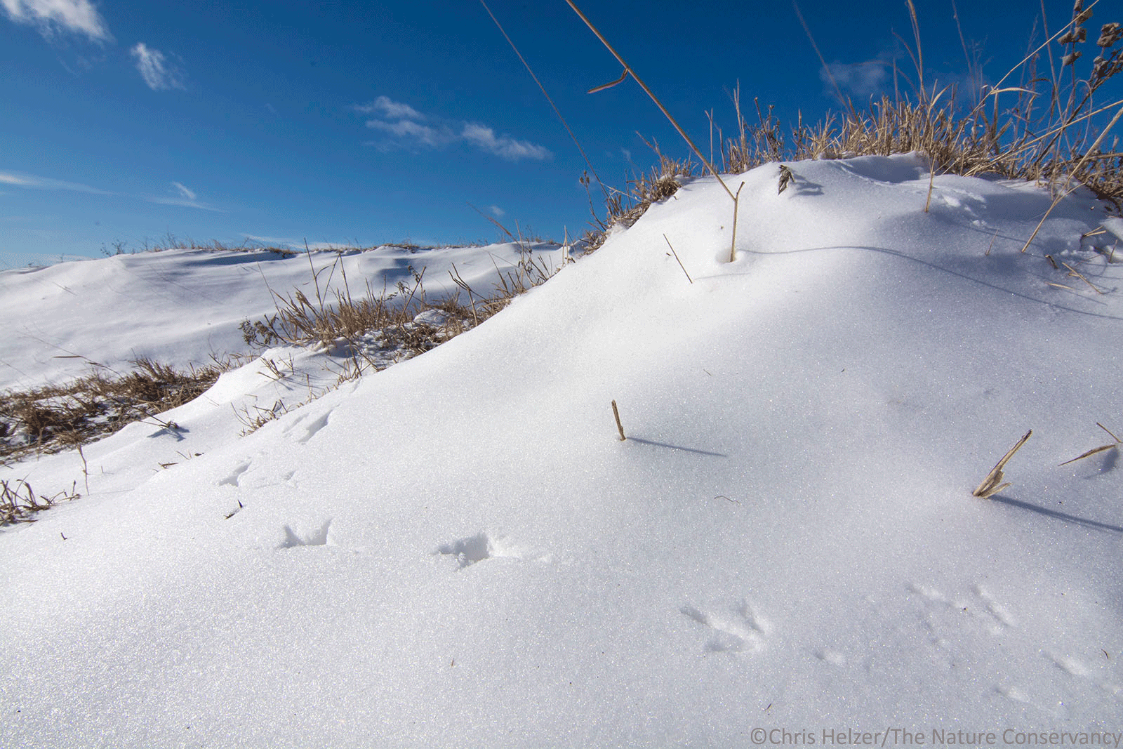 It sure is WINDY | The Prairie Ecologist