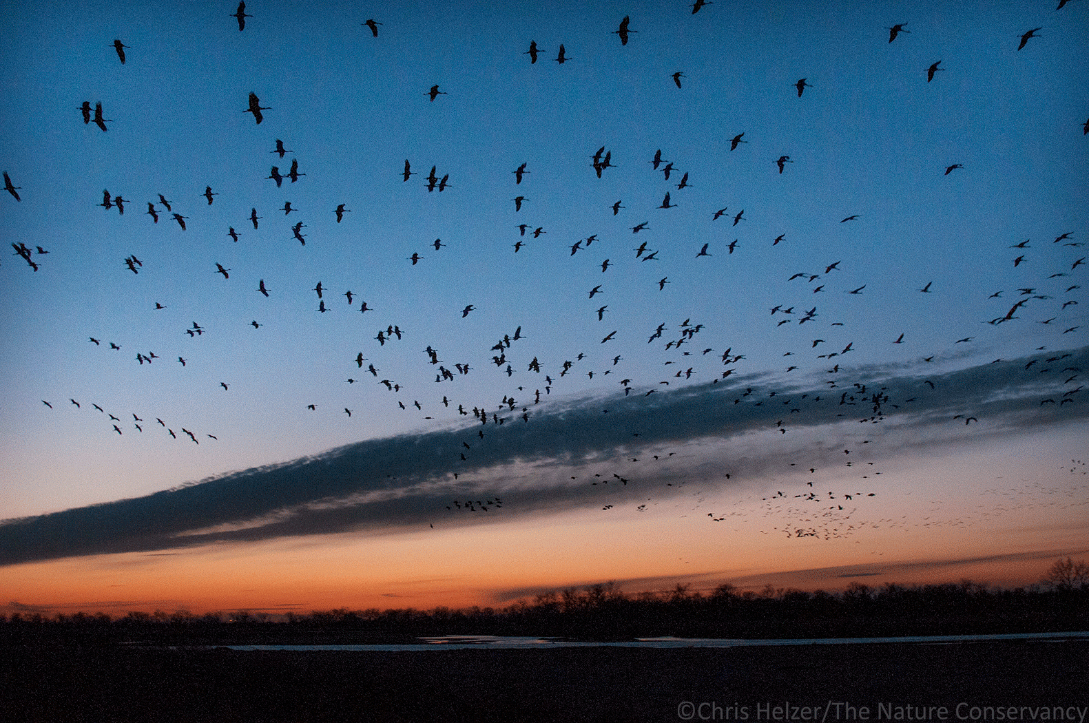 Hubbard Fellowship Post – Mary Grudgingly Admires Birds | The Prairie ...