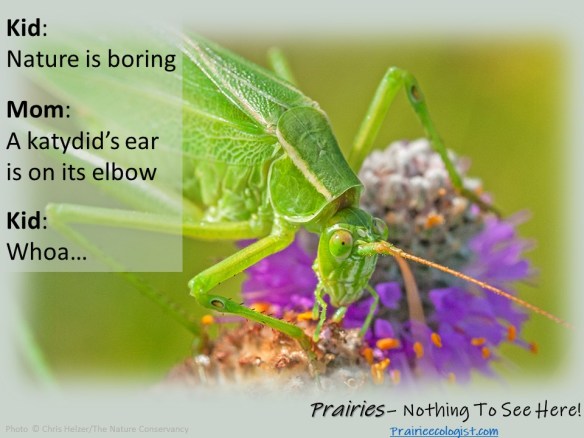 Prairie Memes | The Prairie Ecologist