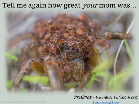 Prairie Memes | The Prairie Ecologist