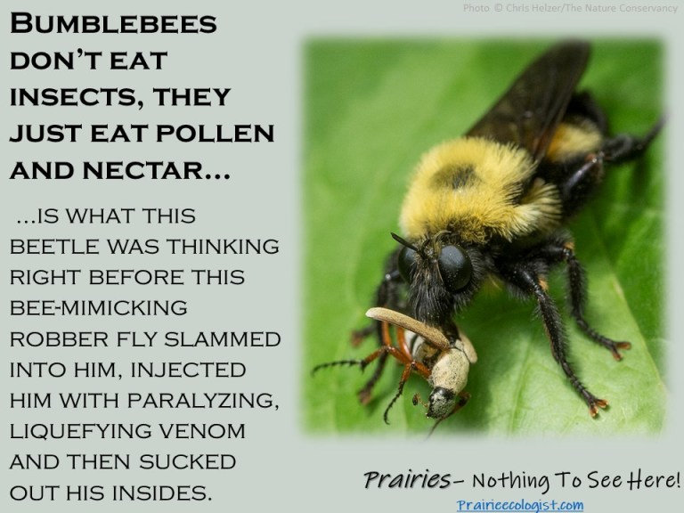 Prairie Memes | The Prairie Ecologist