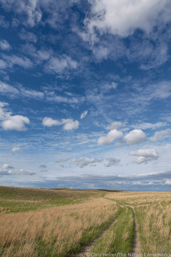Listen, Reflect, and Try to Understand | The Prairie Ecologist