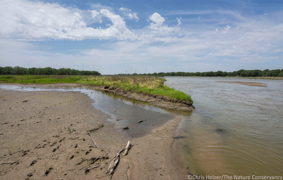 River Day | The Prairie Ecologist