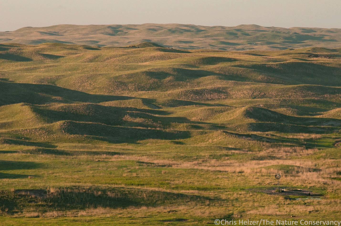 Ask The Prairie Ecologist (Part 2) | The Prairie Ecologist