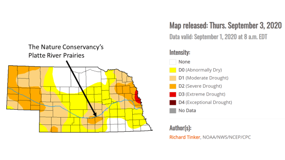 Drought Returns to the Platte River Prairies | The Prairie Ecologist