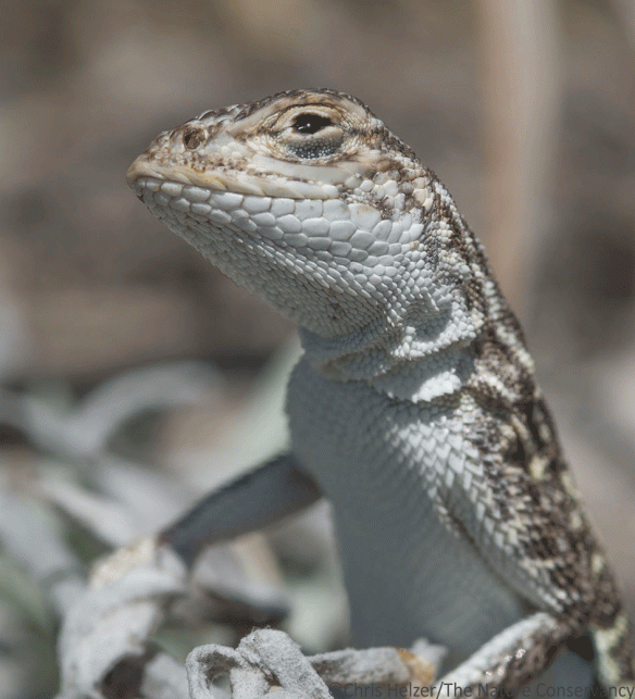 Photos of the Week – October 23, 2020 | The Prairie Ecologist
