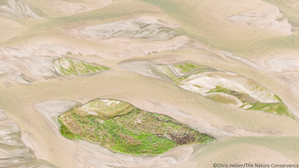 The Beauty of Prairies in 2020 – September | The Prairie Ecologist