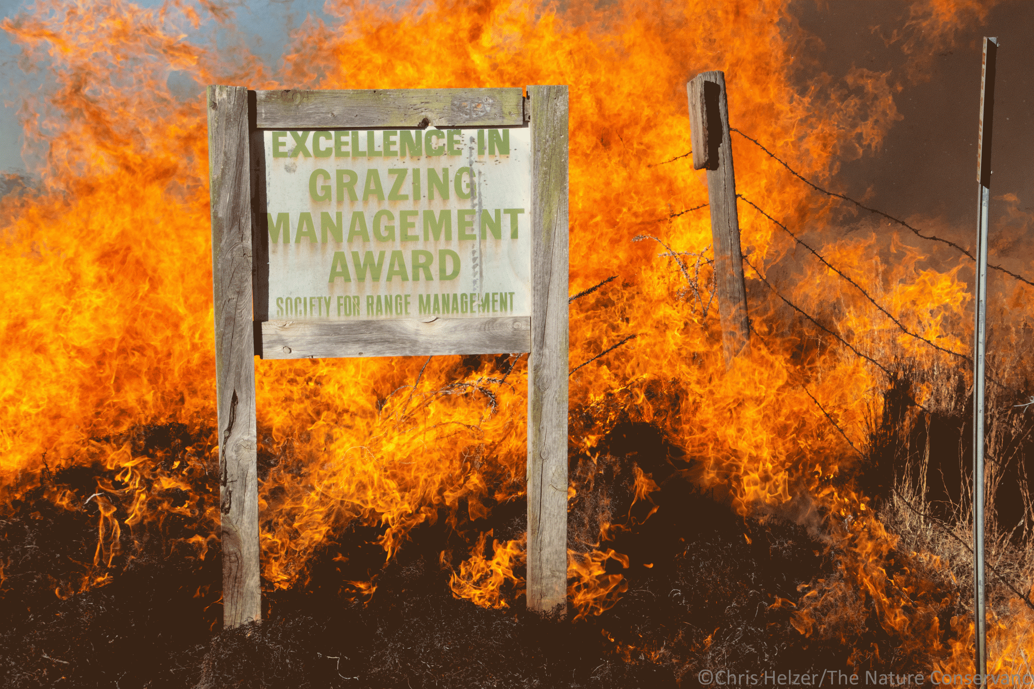 Is Fire Really Essential in Prairies? | The Prairie Ecologist