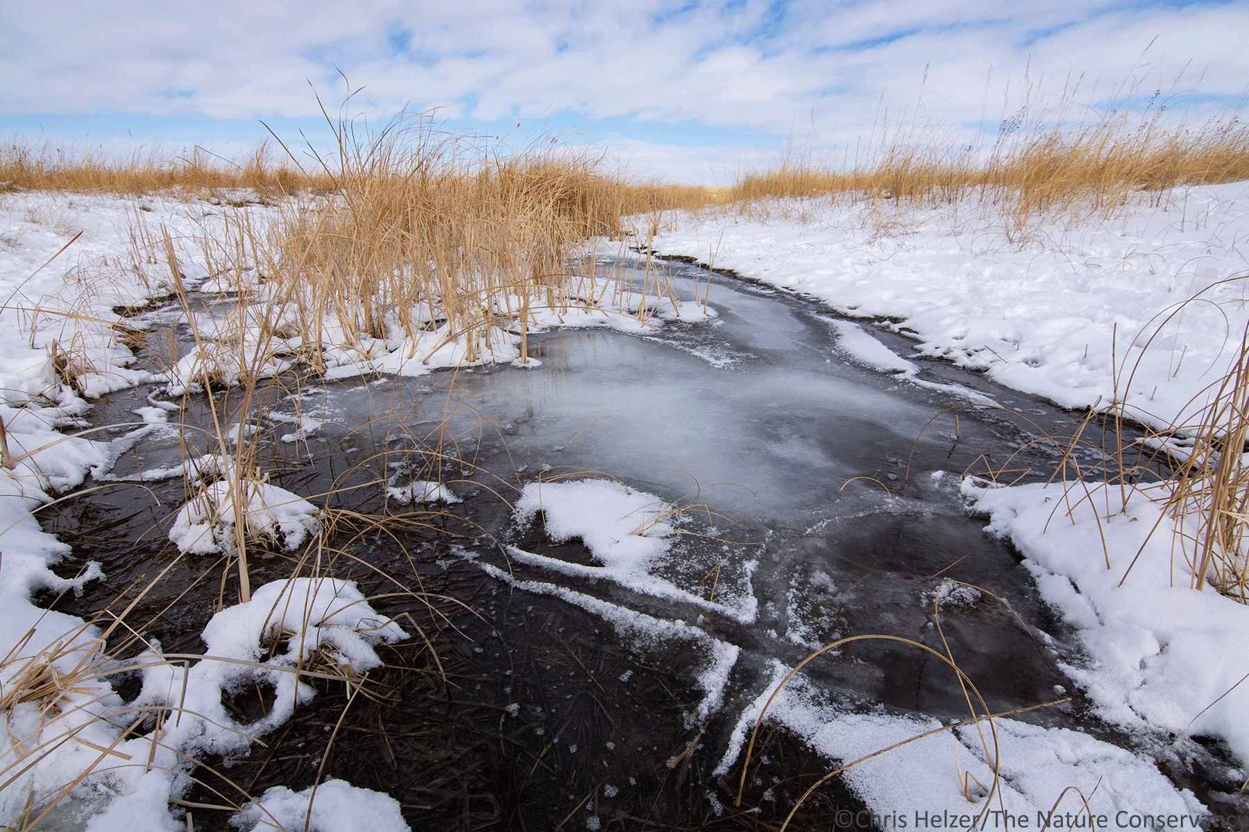 Photos of the Week – February 18, 2021 | The Prairie Ecologist