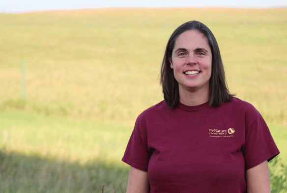 Seed Sourcing Strategies for a Changing Climate | The Prairie Ecologist