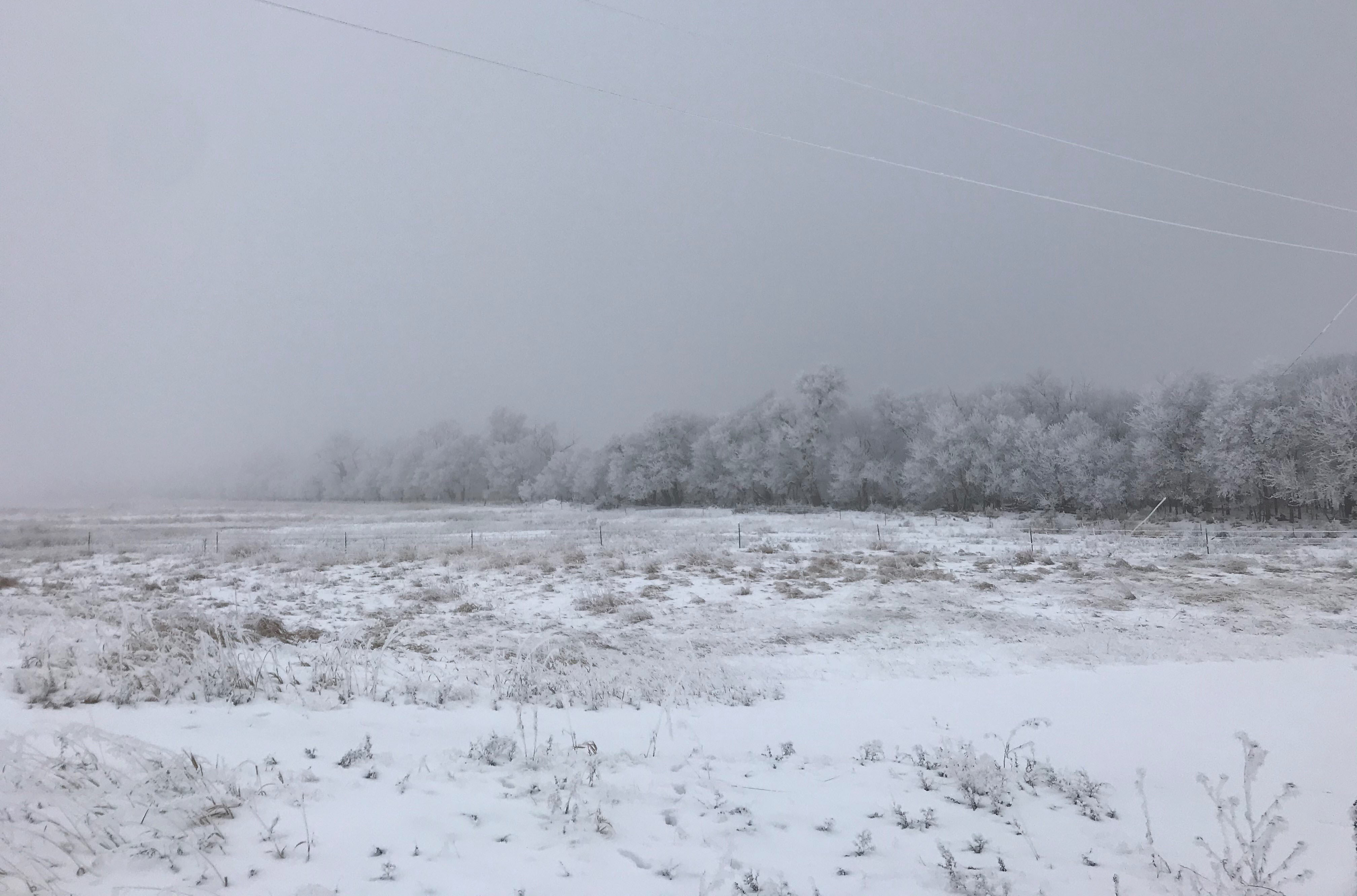 Hubbard Fellowship Blog – Sarah reflects on winter and pre-flects on ...