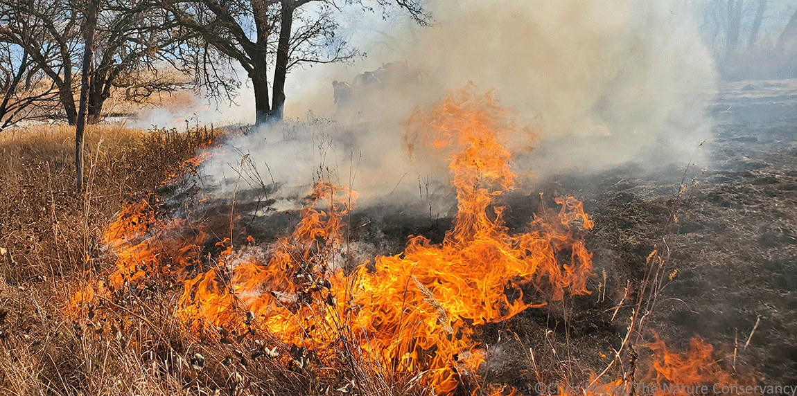 Prairie Management Tradeoffs – Prescribed Fire | The Prairie Ecologist