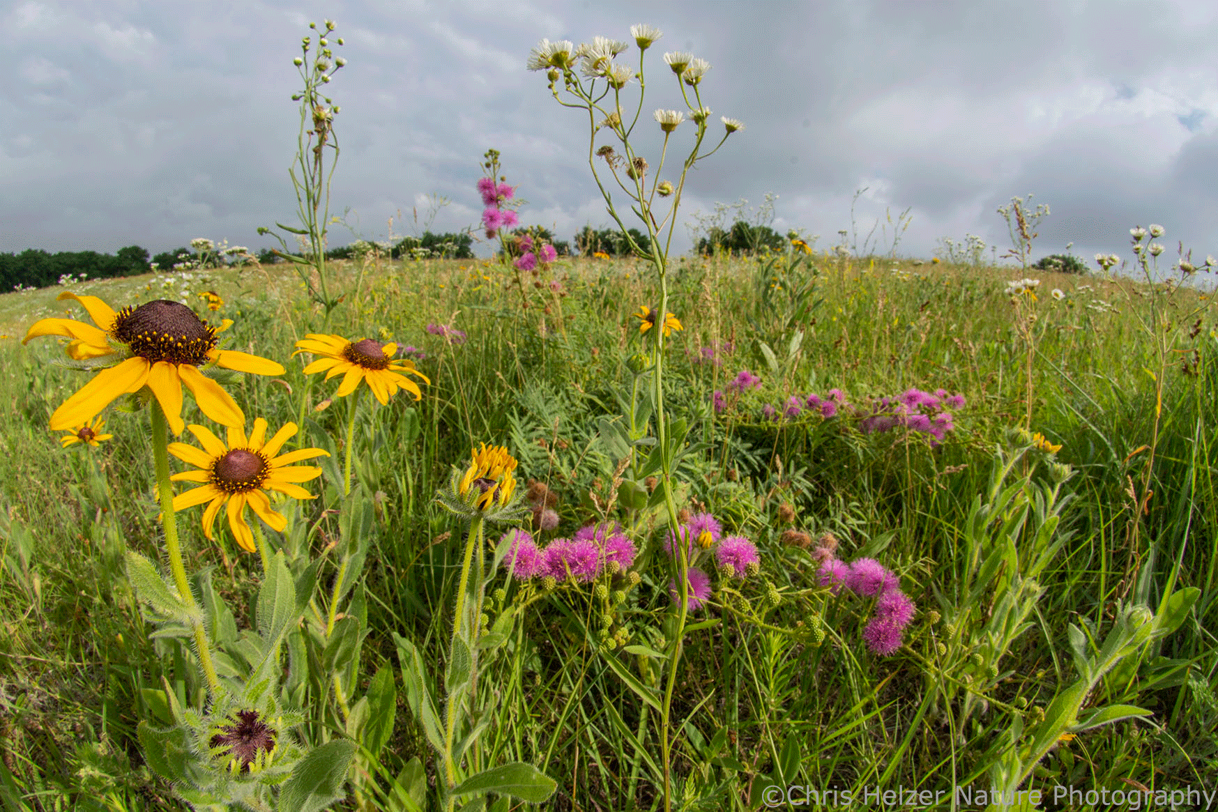 Welcome new readers! (And thank you to the rest of you!) | The Prairie ...