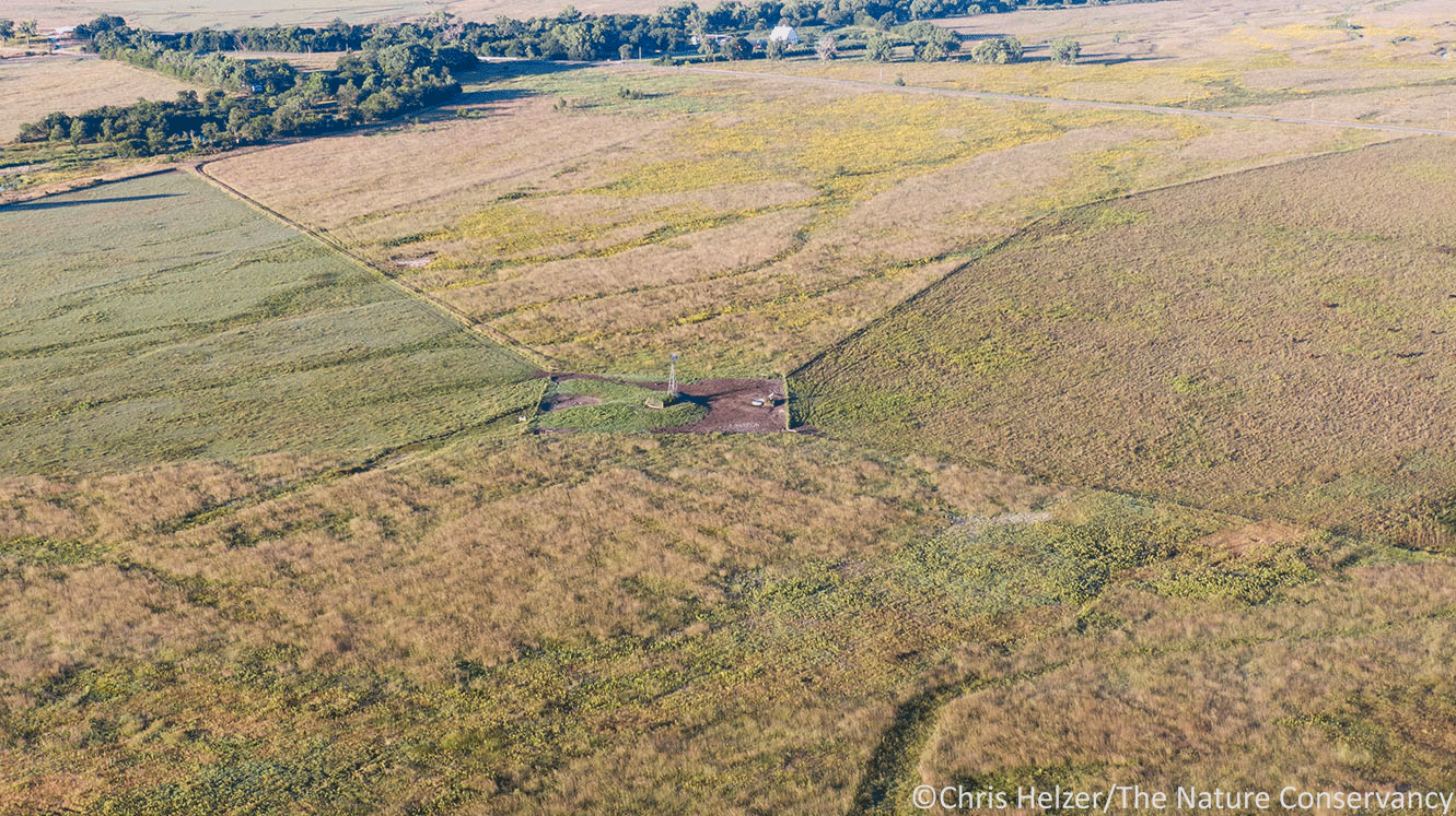 Habitat Heterogeneity Through Time and Space | The Prairie Ecologist