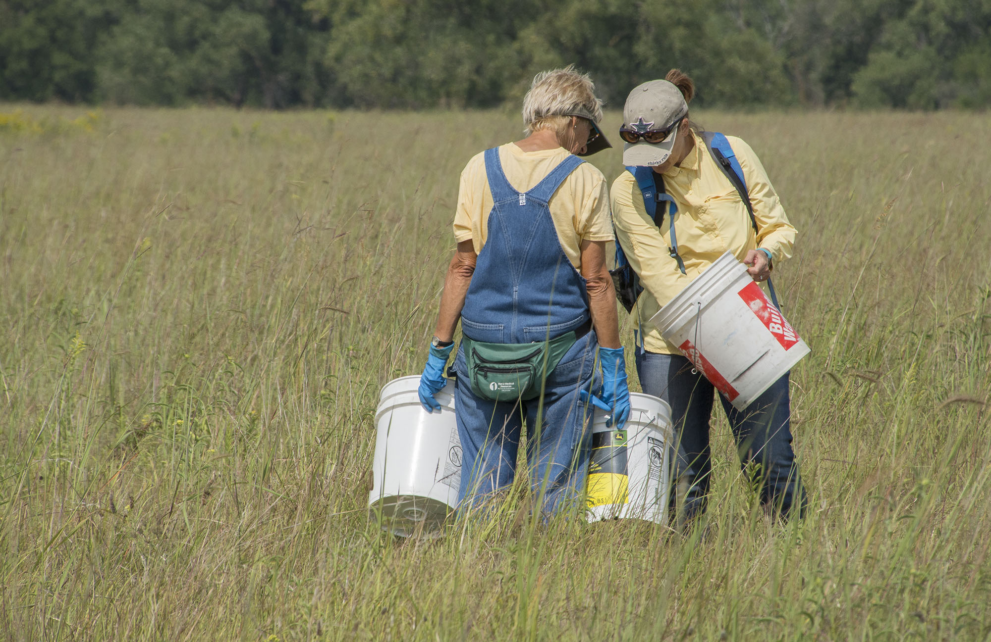 Perspectives of the Prairie: Jennifer Rumery and Karen Hemberger | The ...